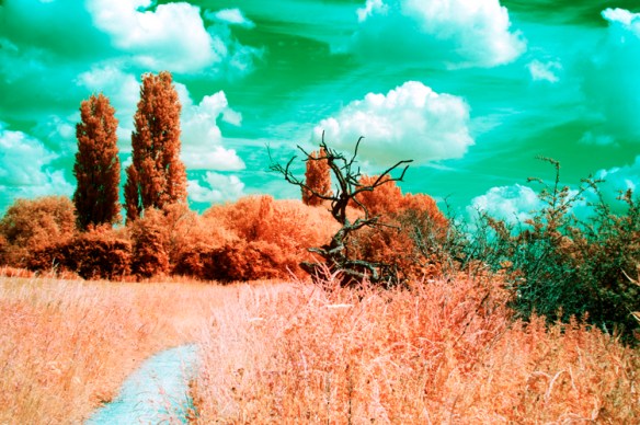 Paul Cullen Photography | See also – https://fineartamerica.com ...